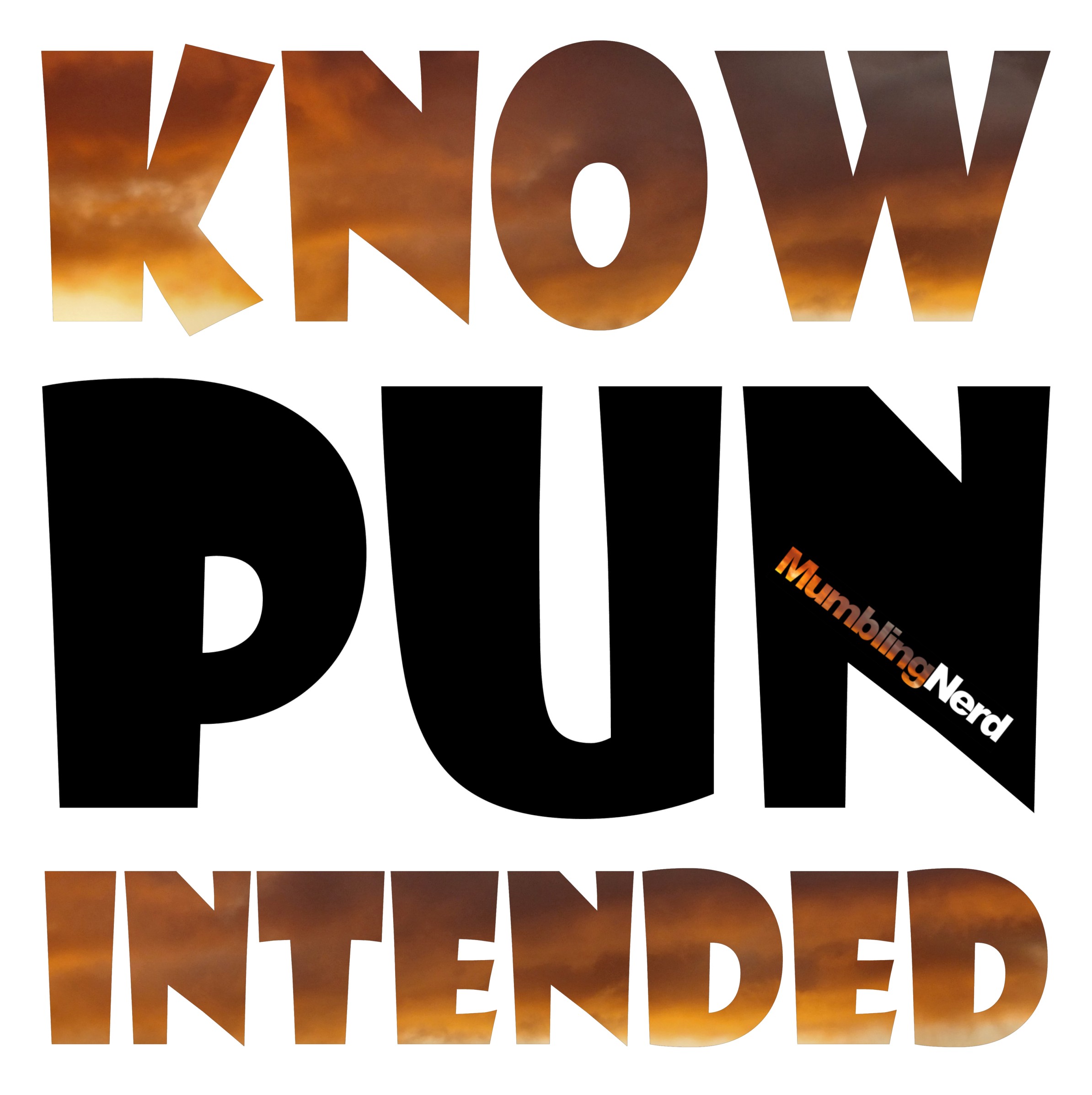 Know Pun Intended – A splendid collection of jokes, puns and silliness